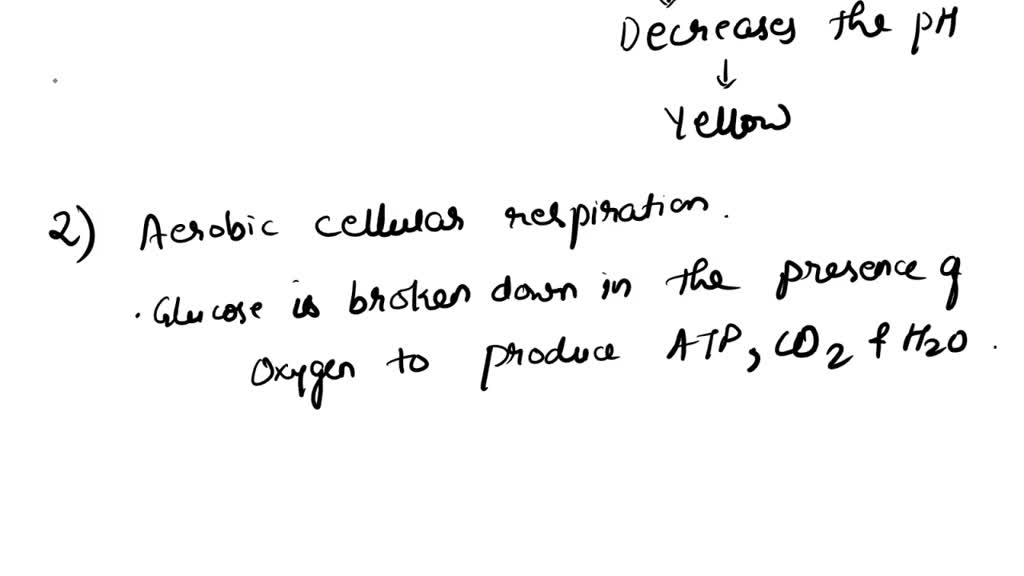 SOLVED: Aerobic Cellular Respiration In Beans lab experiment 1. What ...