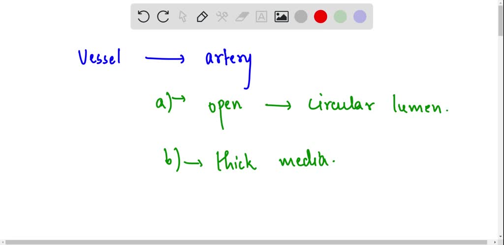 SOLVED: Texts: Label all of the veins and arteries you can see on the ... SOLVED: Texts: Label all of the veins and arteries you can see on the ...