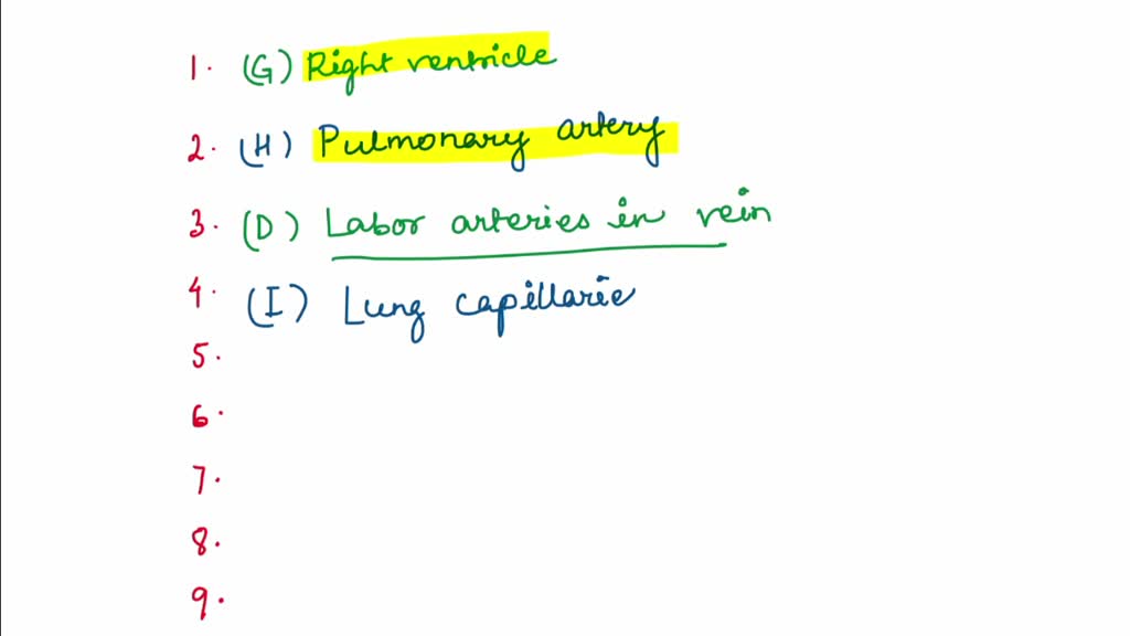 SOLVED: Pulmonary Circulation Sequence of Events Identify this path by placing the numbers ...