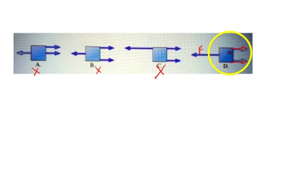 Solved Which Object Is In Static Equilibrium