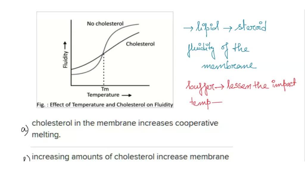SOLVED: No cholesterol T 1 Cholesterol Tm Temperature Fig: Effect of ...