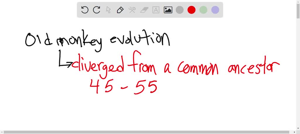 SOLVED: 10) Which statement about Old World monkey evolution is not ...