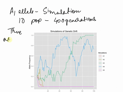 Genetic Drift Graph