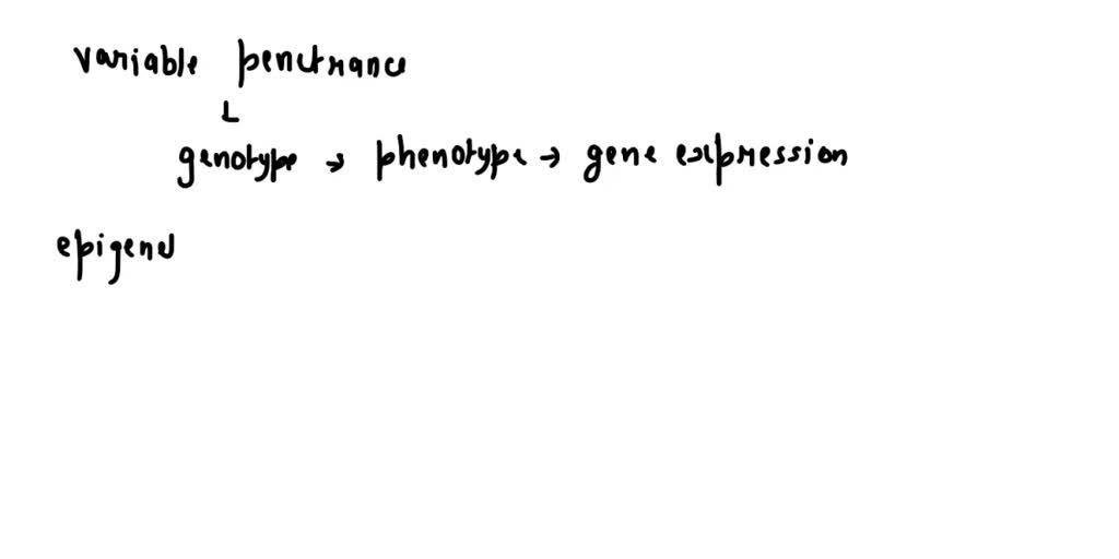 Solved How Does Variable Penetrance Affect Genotype And Phenotype What Is The Role Of
