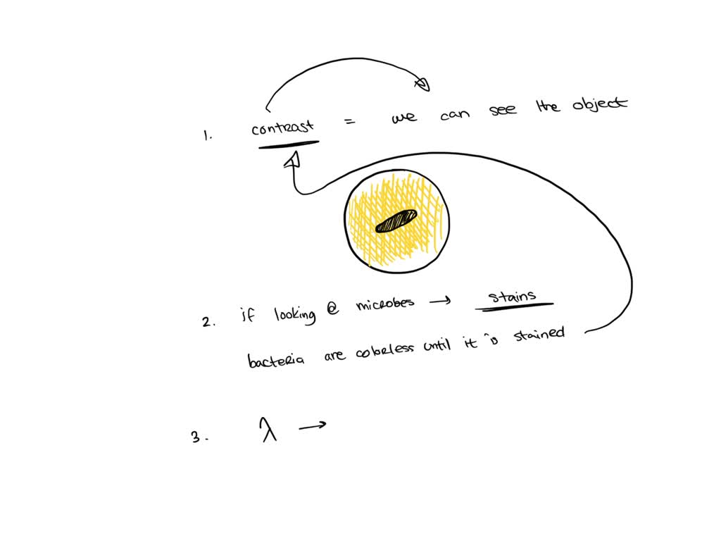 SOLVED: Microscopy 1. Why is contrast important in microscopy? 2. How ...