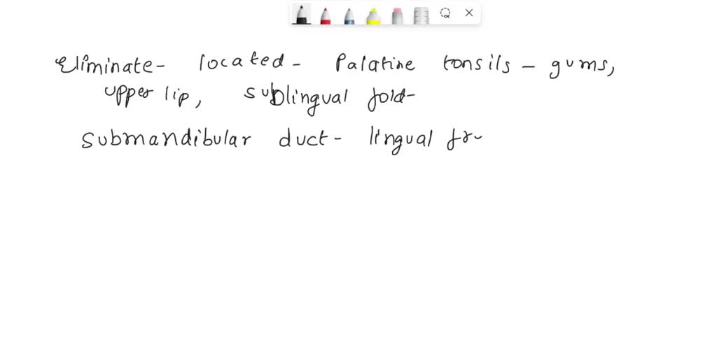 SOLVED: name 3 types of tonsils and where they are located. For example ...