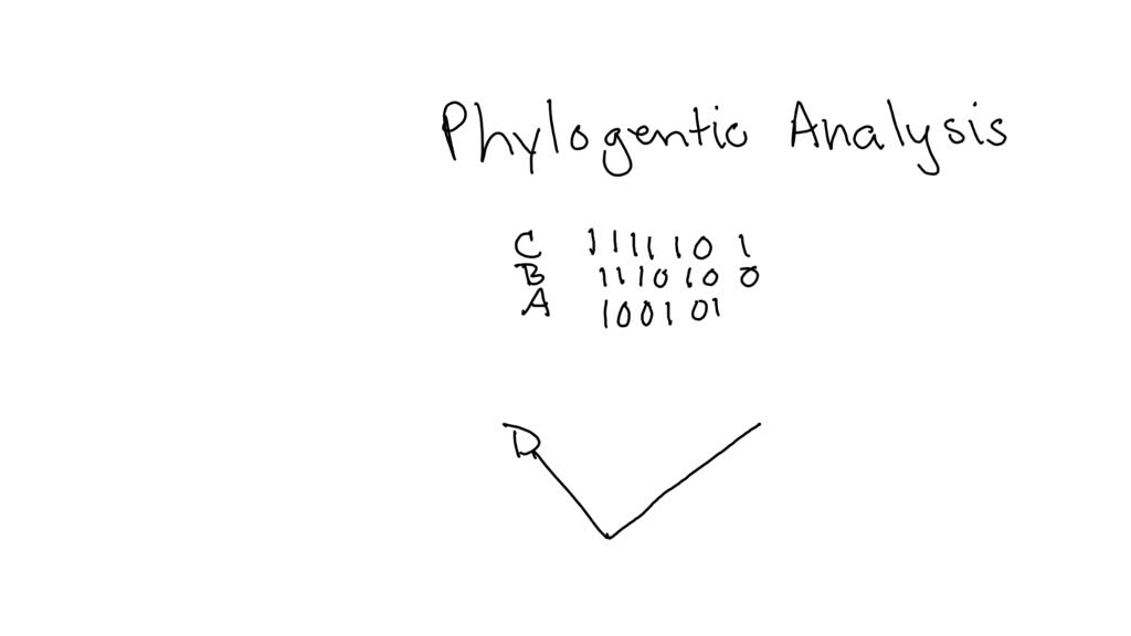 SOLVED: Please use the data matrix of seven characters below to perform phylogenetic analysis ...