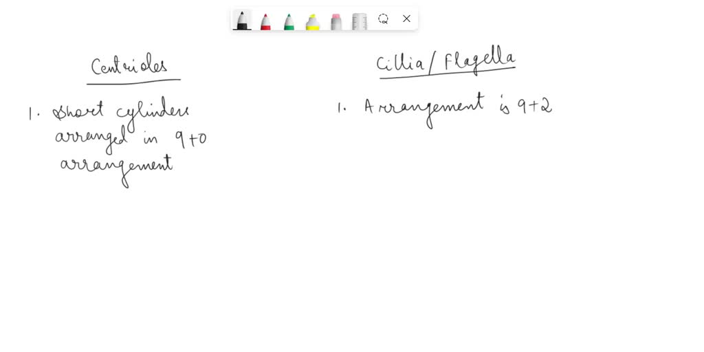 SOLVED: Classify the following characteristics depending on if they are ...