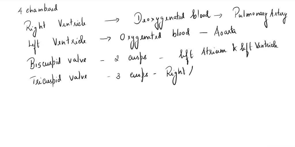 SOLVED: Right atrioventricular valve = Aortic semilunar valve Pulmonary ...