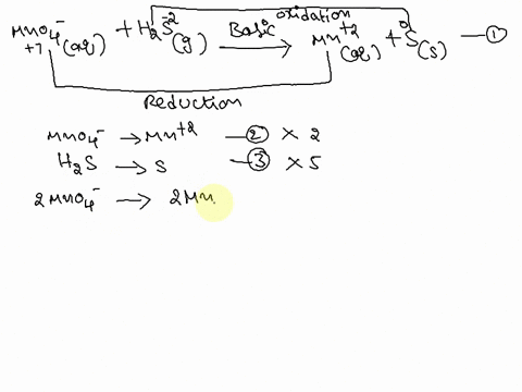 SOLVED: The reaction under investigation this week: 2 MnO4 (aq) + 5 ...
