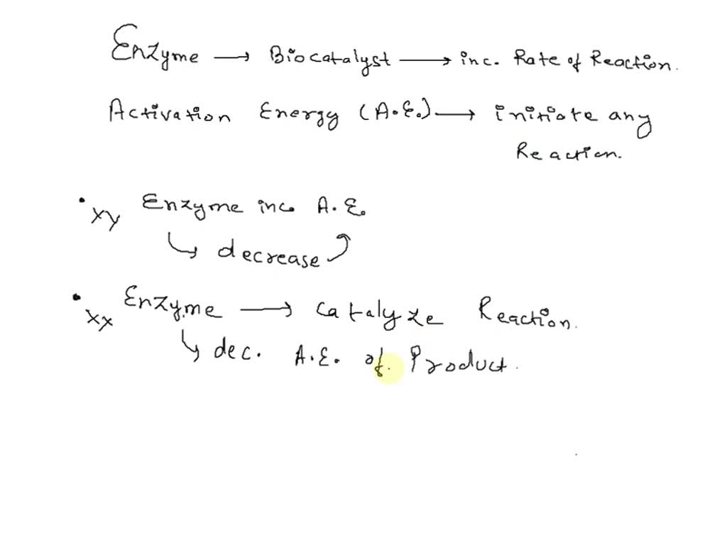 SOLVED: Many of the proteins in the human body are enzymes that ...