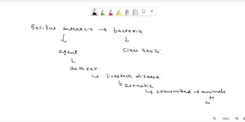 SOLVED: Prompt 1: Bacillus anthracis State whether it is a bacteria ...