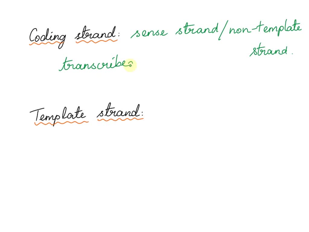 SOLVED: The Holoenzyme is made up of 2 parts. What are they and what is their function? What is ...