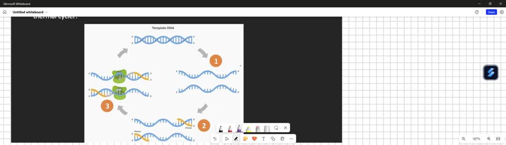 SOLVED: 17. Determine which of these nucleotides are purine and which ...