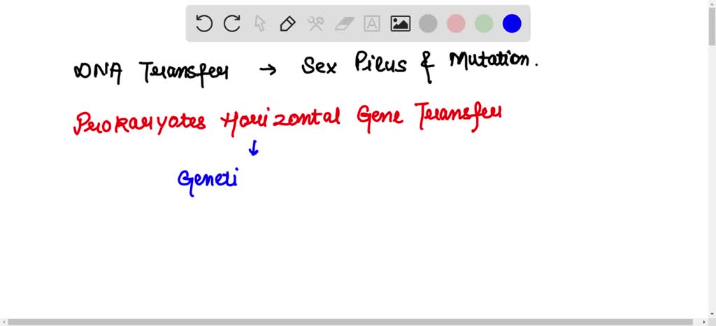 Solved What Creates Genetic Variation In Prokaryotes That Reproduce Asexually Mitosis And