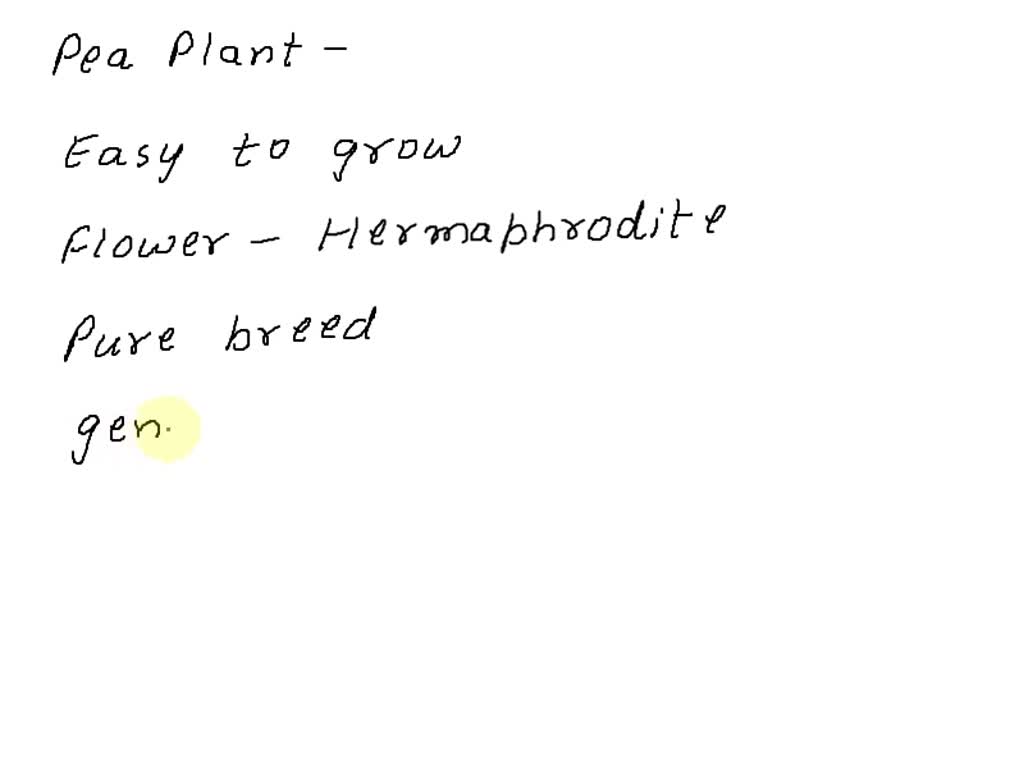 SOLVED: Gregor Mendel studied pea plants to determine the patterns of ...