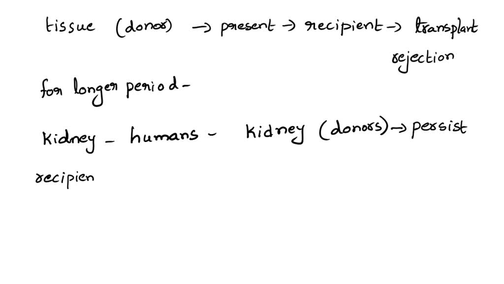 SOLVED: This donor tissue persists in the recipient longer than many ...