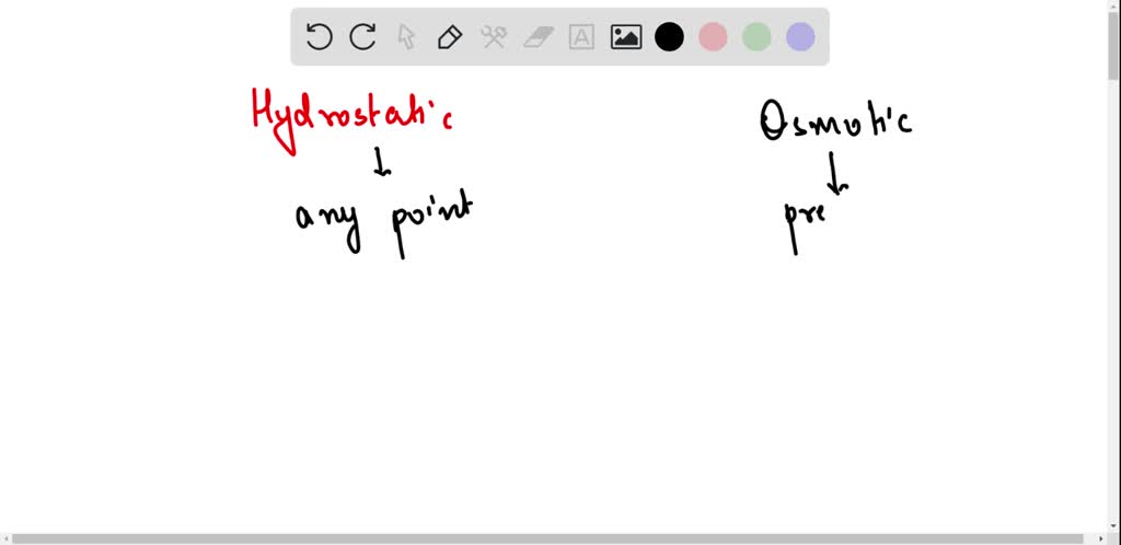 SOLVED: (i) Describe the difference between hydrostatic pressure and ...