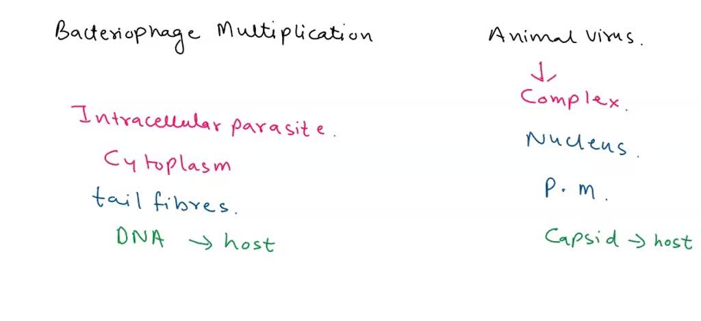 SOLVED: 1. Draw analogies and contrasts between bacteriophage ...
