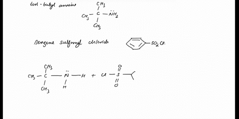 Write an equation for the reaction of tert butylamine with...