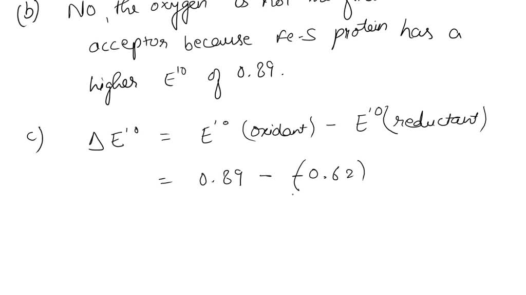 SOLVED: A recently discovered bacterium carries out ATP synthesis ...
