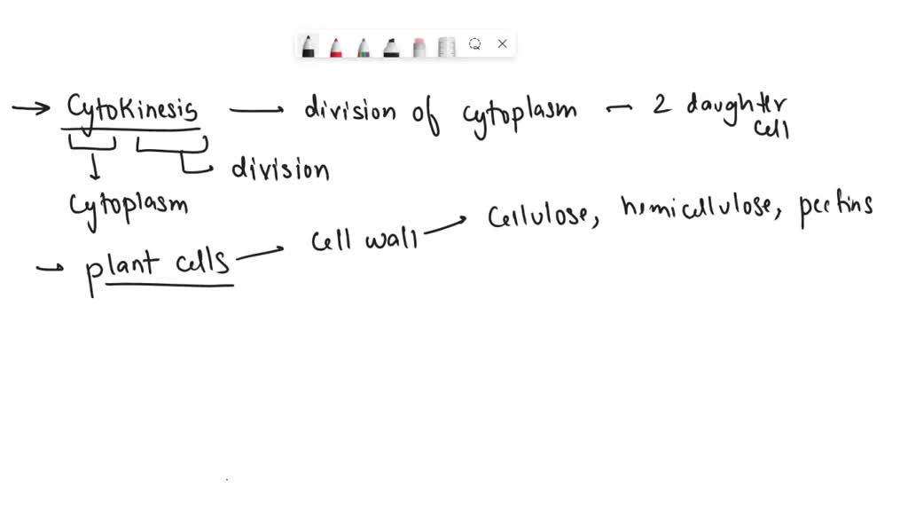 SOLVED: Background on cell division in plants: Why is cell division a ...