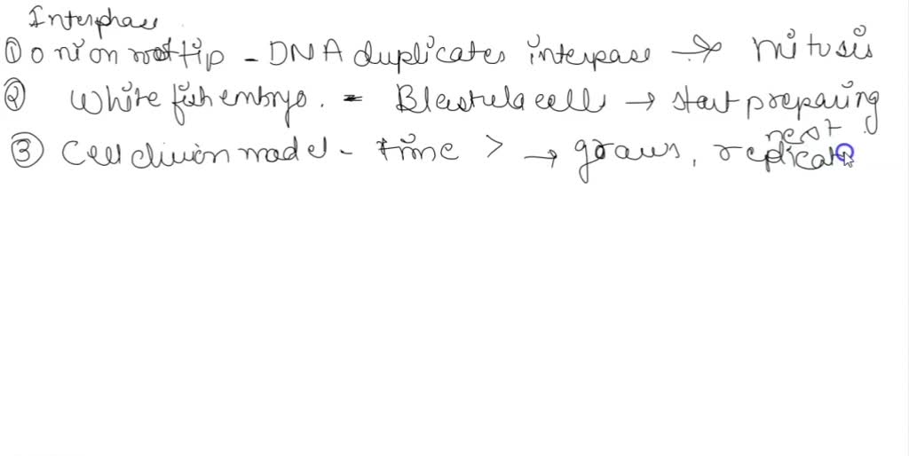 SOLVED: Name: Date: 13. Cell Division: Mitosis Interphase and Mitosis ...
