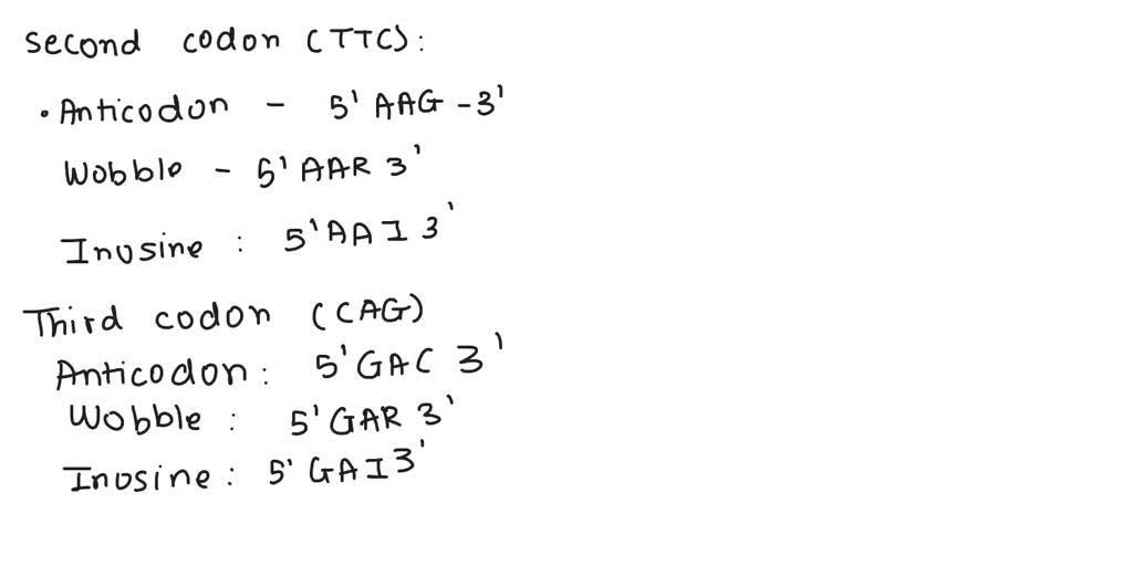 SOLVED: You have the following DNA coding sequence of a wild-type allele: 5'-ATG TTC CAG CTA GAT ...