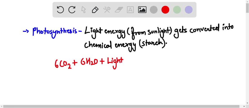 SOLVED: . Through the process of photosynthesis, a century plant uses ...
