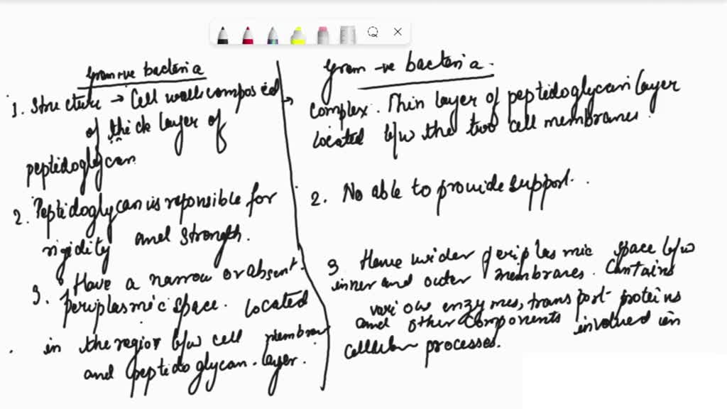 SOLVED: Compare and contrast the cell walls of gram-positive and gram-negative bacteria. With a ...
