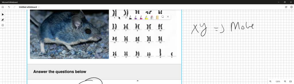 SOLVED: This is a karyotype of a mouse body cell: phoin Answer the ...