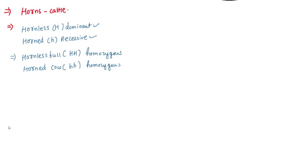 SOLVED: Hornless cattle is dominant over horned. A homozygous hornless ...