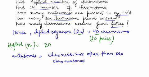 The mouse mus musculus a diploid is 2n 40 with ac value of...