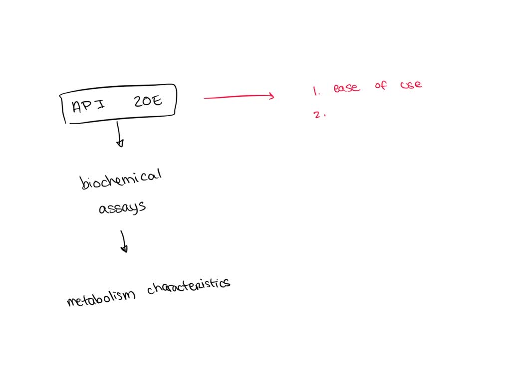 SOLVED: Recent advances in DNA technology have provided other ...