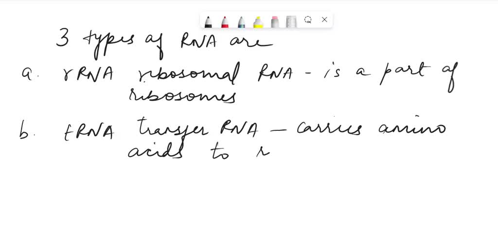 SOLVED: 1. The cartoons below represent three different types of RNA ...