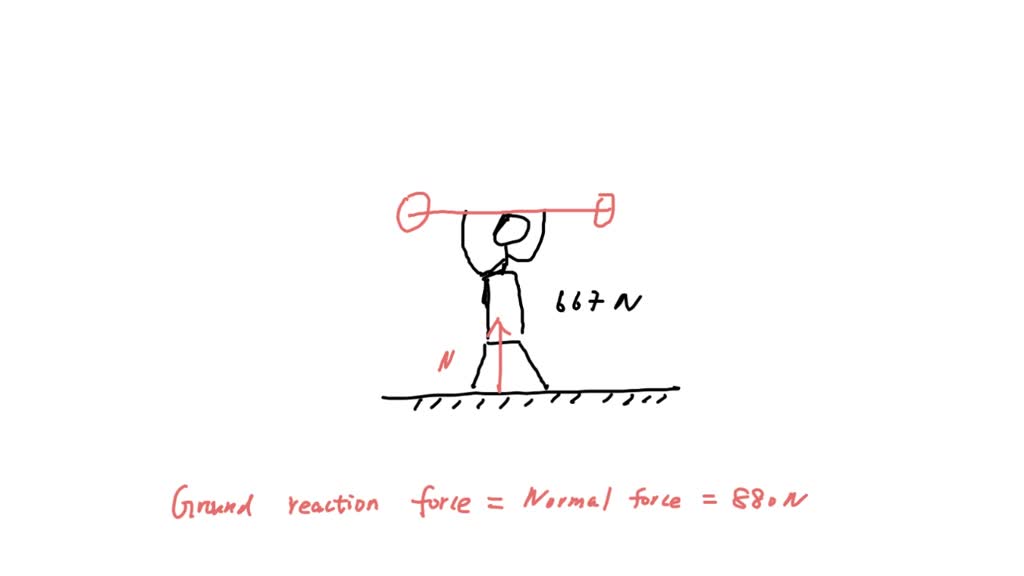 SOLVED: A 667 N ( 150 lbs) weightlifter lifts a barbell over his head ...
