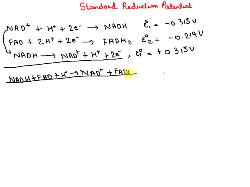 SOLVED: The standard reduction potentials for two biologically relevant ...
