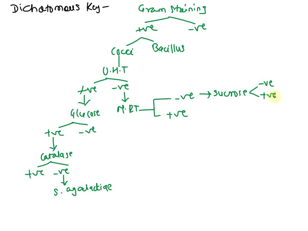 SOLVED: After reviewing the chart and past information from previous weeks, create a dichotomous ...