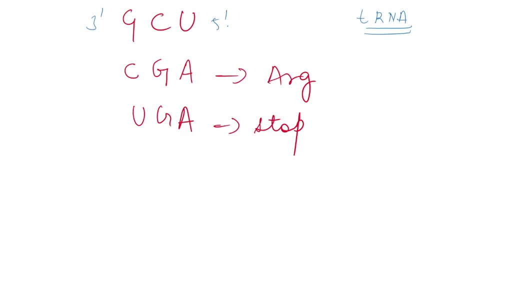 SOLVED: You have identified various tRNAs from a variety of ... SOLVED: You have identified various tRNAs from a variety of ...