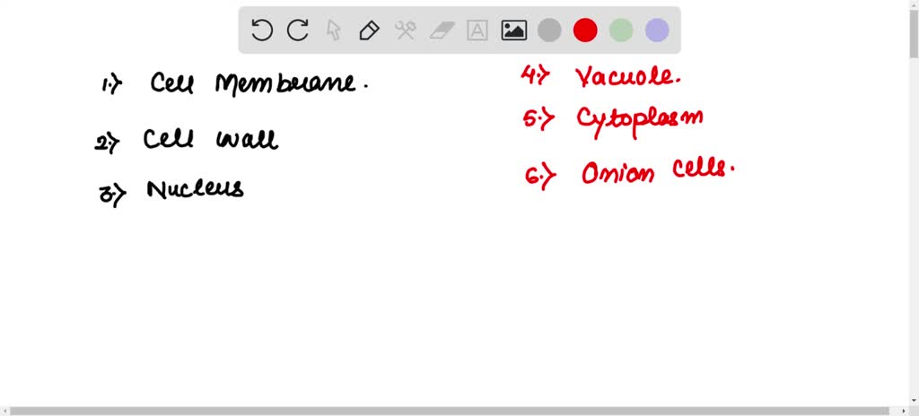 SOLVED: EXERCISE 9 Plant Cells. Onion epidermal cells: Following Four ...
