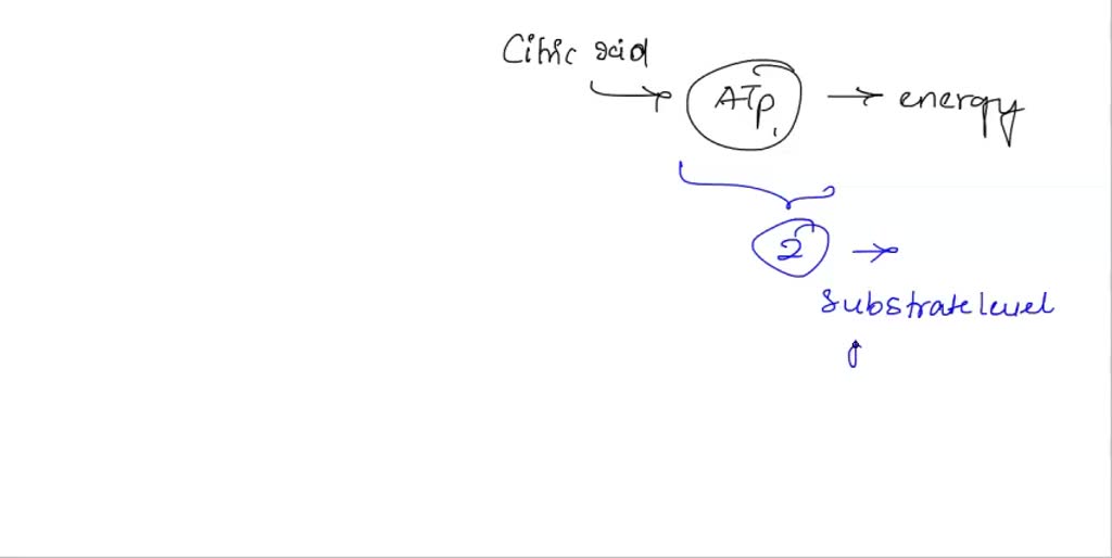 SOLVED: How many net total ATPs are produced from the complete oxidation of citric acid cycle ...