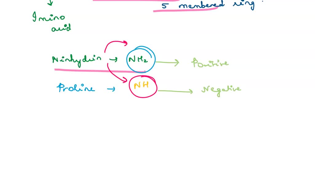 SOLVED: Ninhydrin reagent gives a purple color with 19 of the 20 amino ...