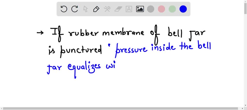 SOLVED: If the rubber membrane of the bell jar model lung were ...