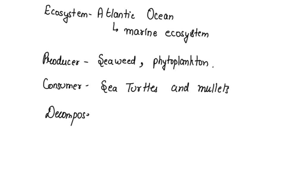 SOLVED: What’s the ecosystem like in the Atlantic Ocean? Who are the ...