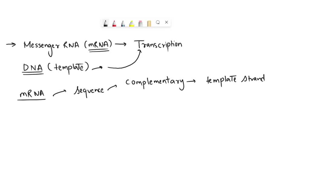 SOLVED: What is the complementary messenger RNA sequence for the DNA ...