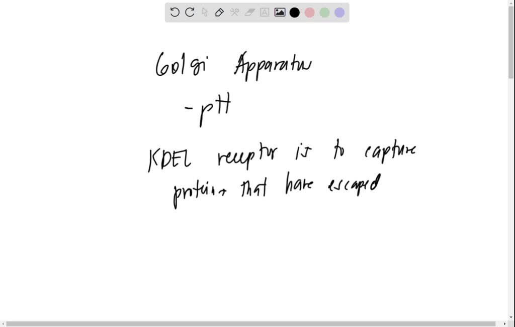 SOLVED: The sequence Lys-Asp-Glu-Leu (KDEL) serves to retain proteins ...