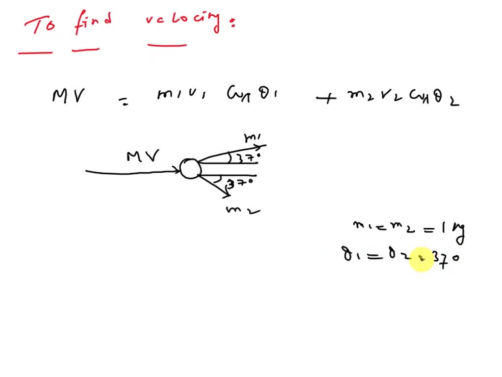 SOLVED: A 1.0 kg exploding firecracker is moving horizontally in the +x ...