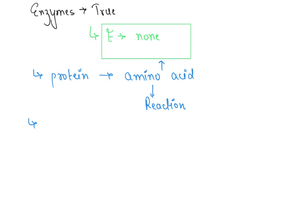Solved Which Of The Following Statements About Enzymes Is True Select