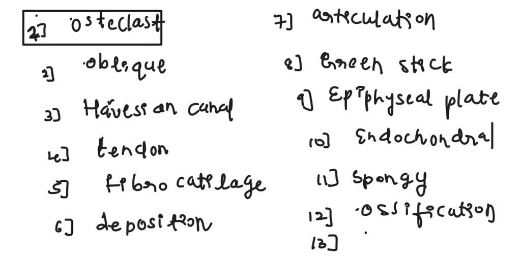 SOLVED: Text: Choices Are used once or not Skeletal System A ...