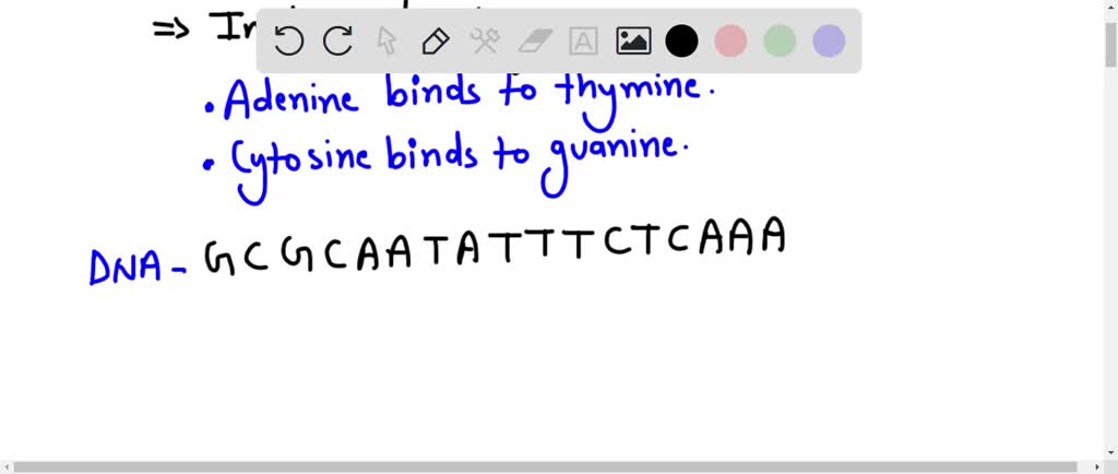 SOLVED: One strand of a double-helical DNA has the sequence (5 ...